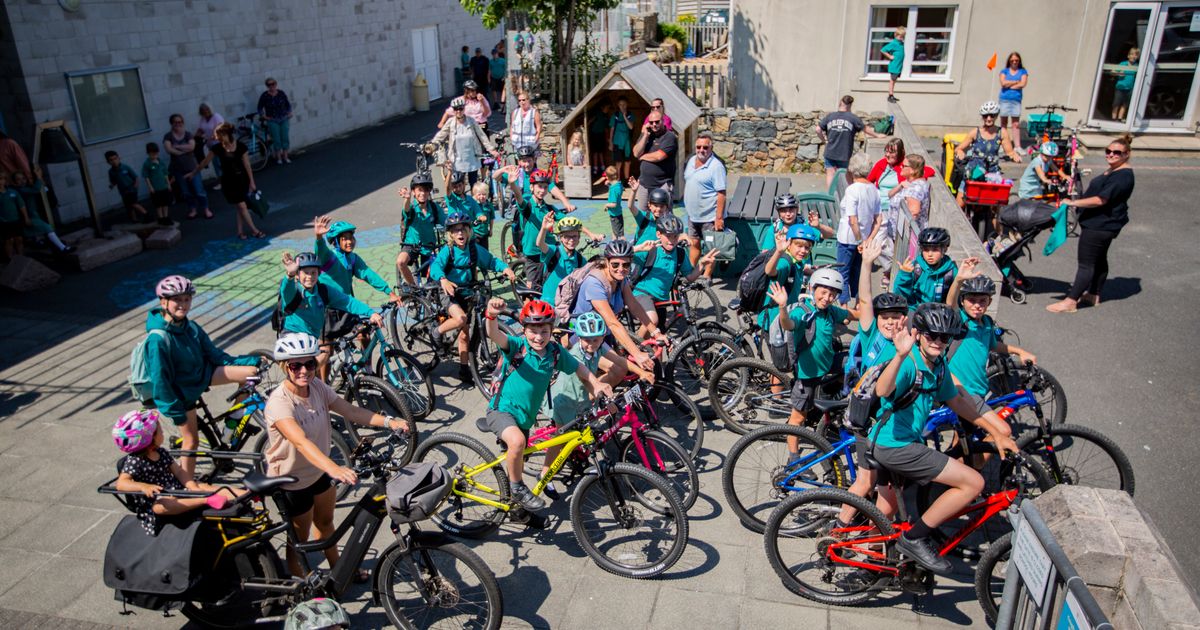 Big differences in class size as ESC faces primary test