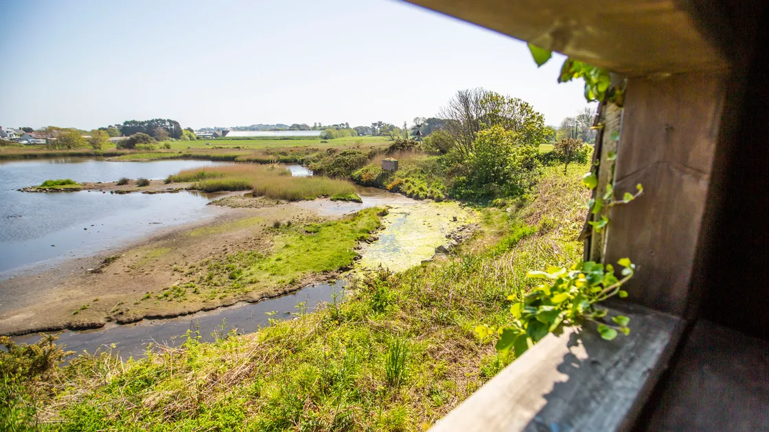Part of £40,000 new States nature fund is reserved for students