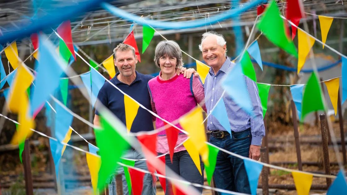 Summer bunting makes way for Christmas lights