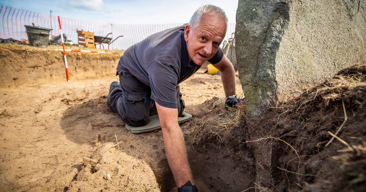 Victorian lunch remains found at dig