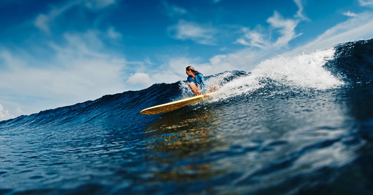 Peter Roffey: Catching the wave