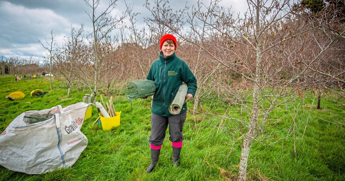 GCV tend to trees at St Germain nature reserve