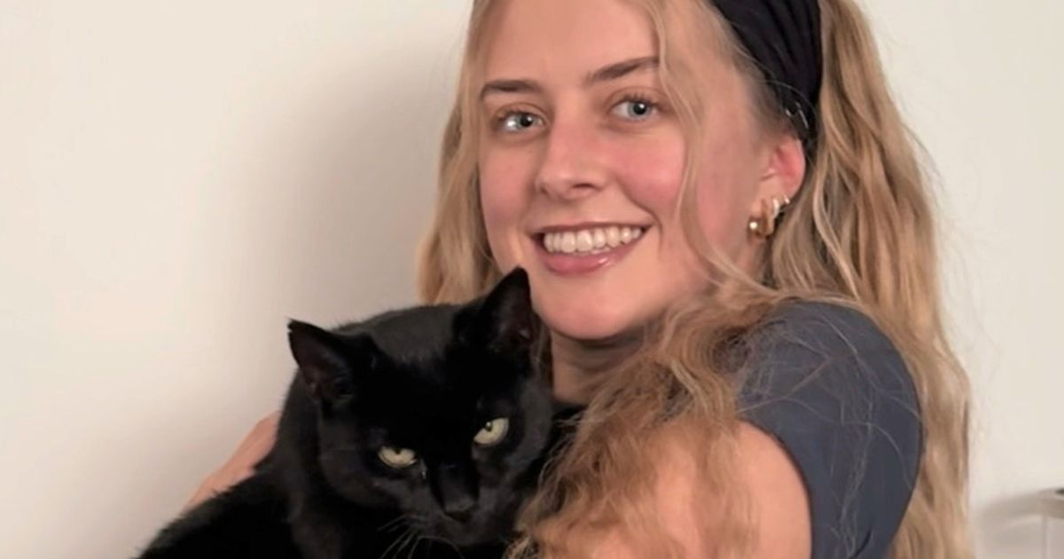 Family reunited with cat after three years