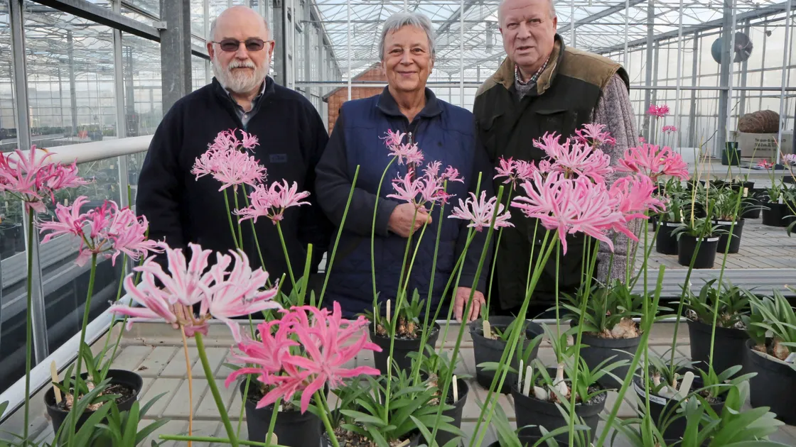 National recognition for nerines collection