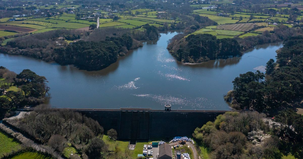 Guernsey Water aims to end flow of losses