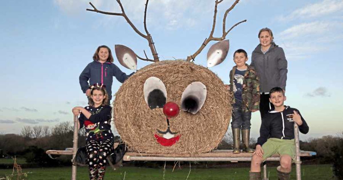 Farmers turn their fields into festive displays