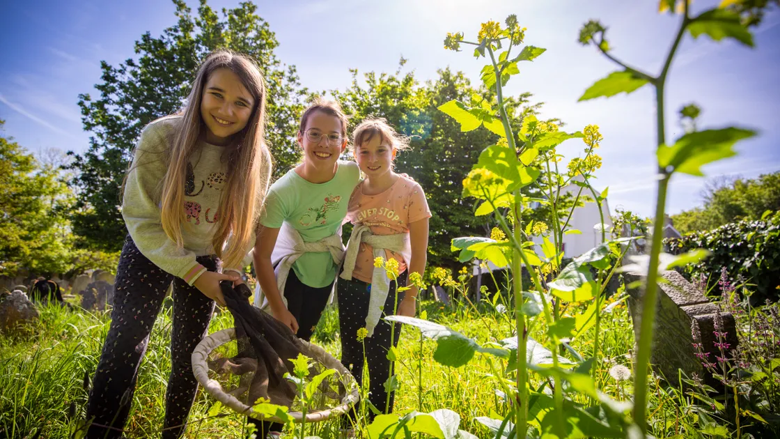 Variety of life on show in church graveyard