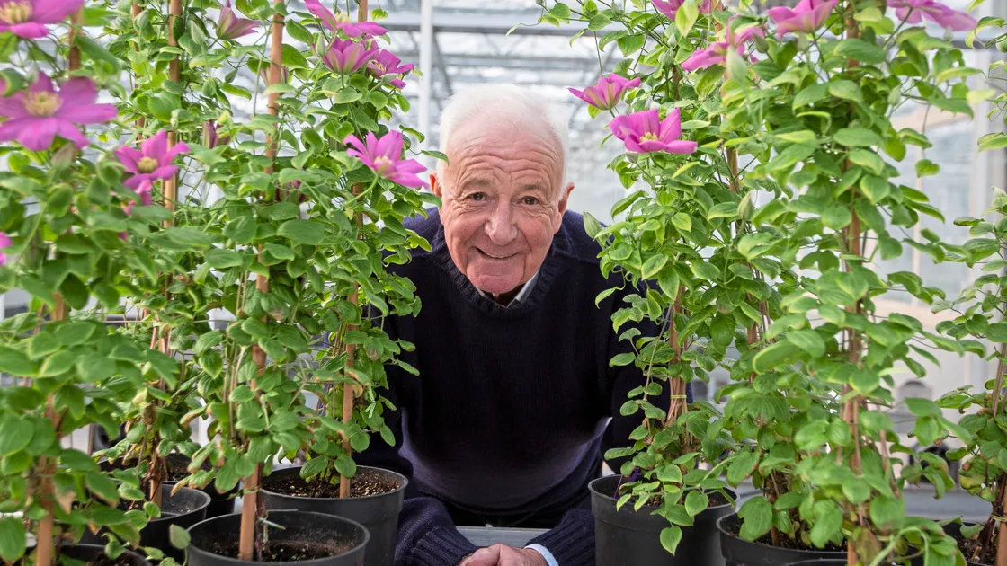 CBE for clematis expert