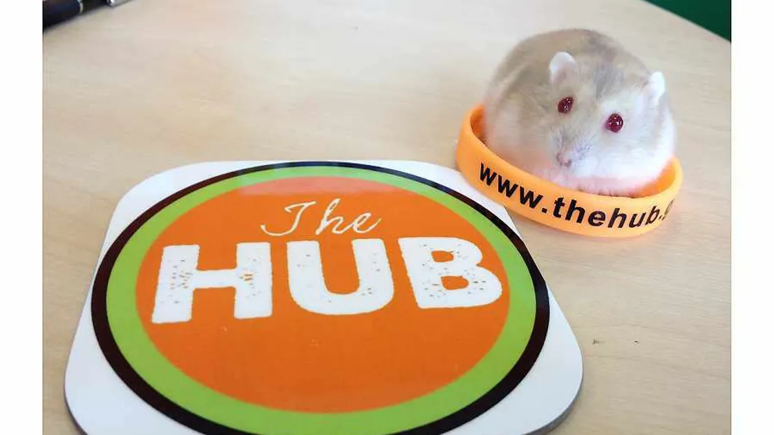 The Hub named charity of the year
