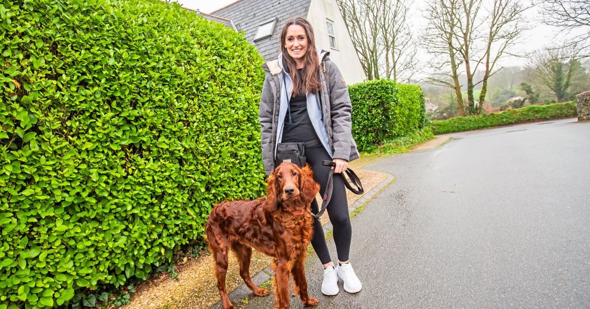 Rise in anti-social canine behaviour after lockdown