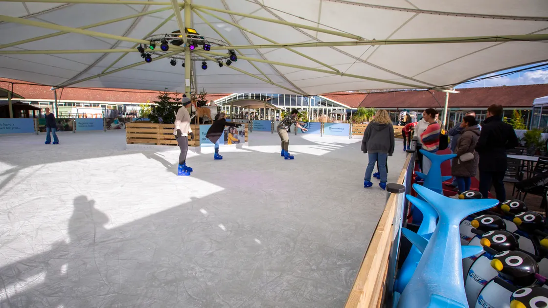 Le Friquet ice rink is chillier than ever