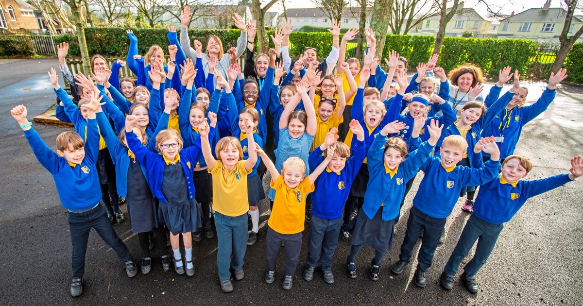 Schools celebrate another gold award from Unicef