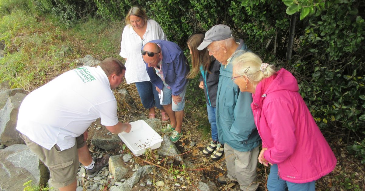 Islanders get closer look at Spur Point’s tiny residents