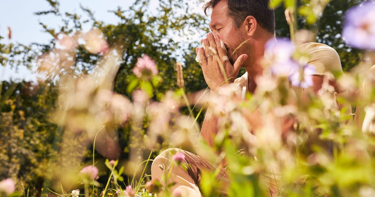 Hay fever misery hits islanders as pollen levels soar