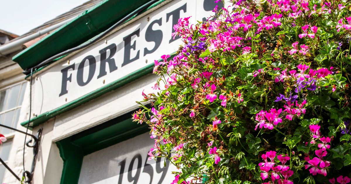 Battle for flowers as Floral Guernsey fights for survival