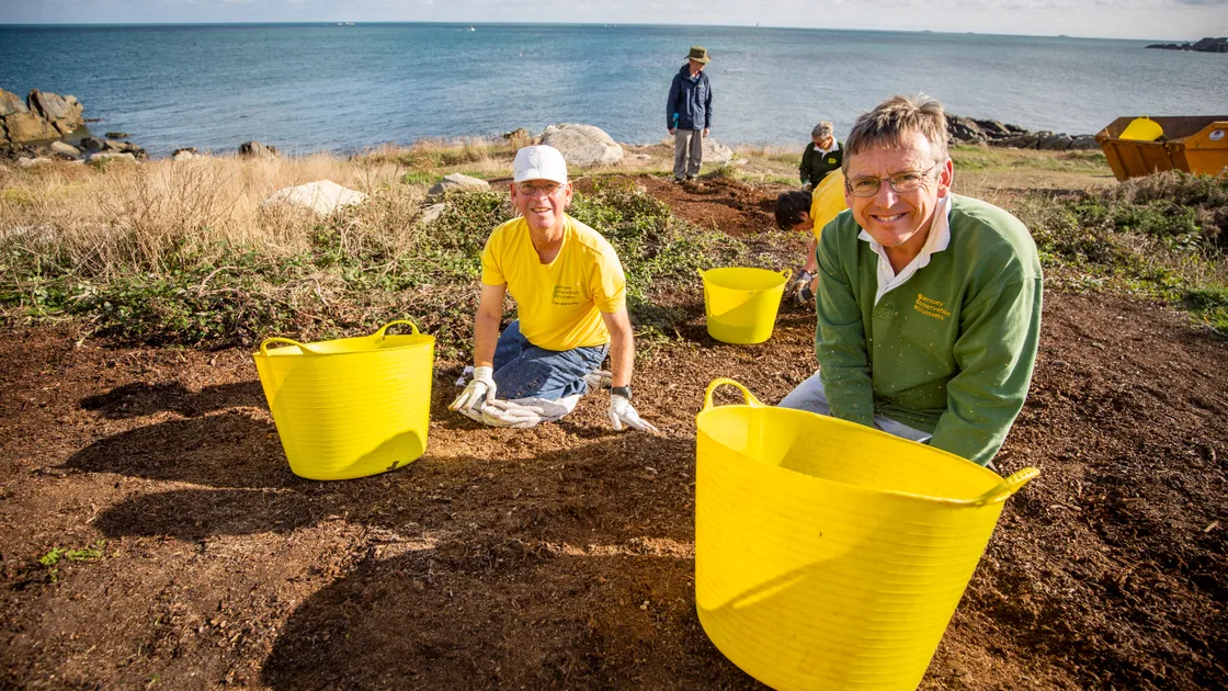 GCV works hard to rid Fort Le Marchant of sour fig