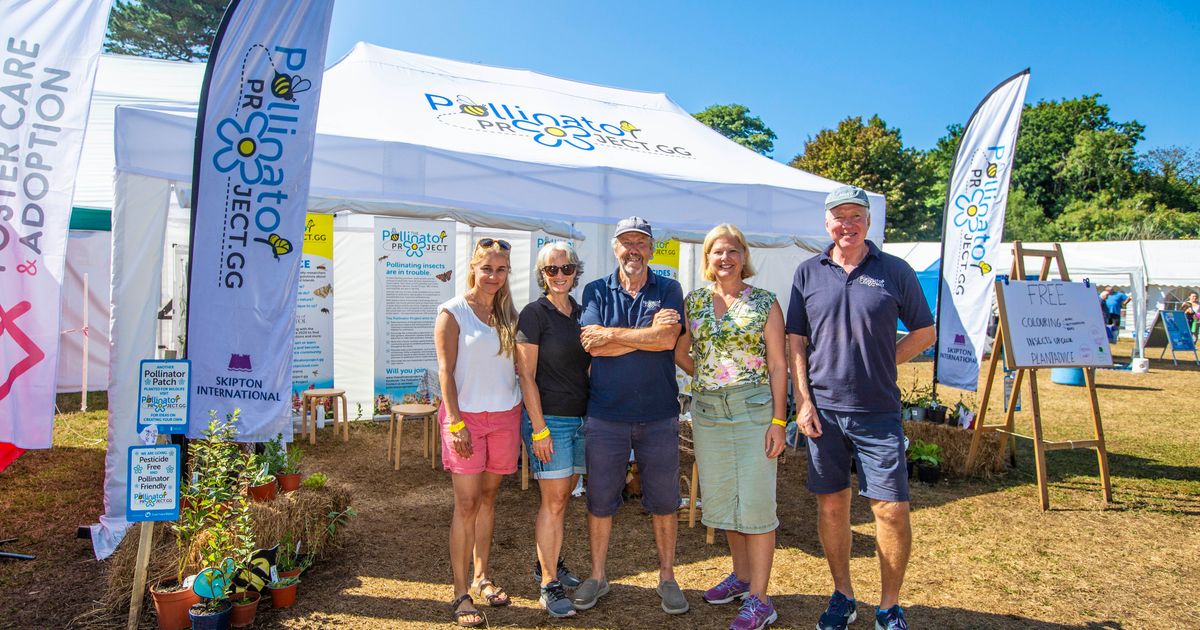 Pride of Guernsey: Pollinator Project