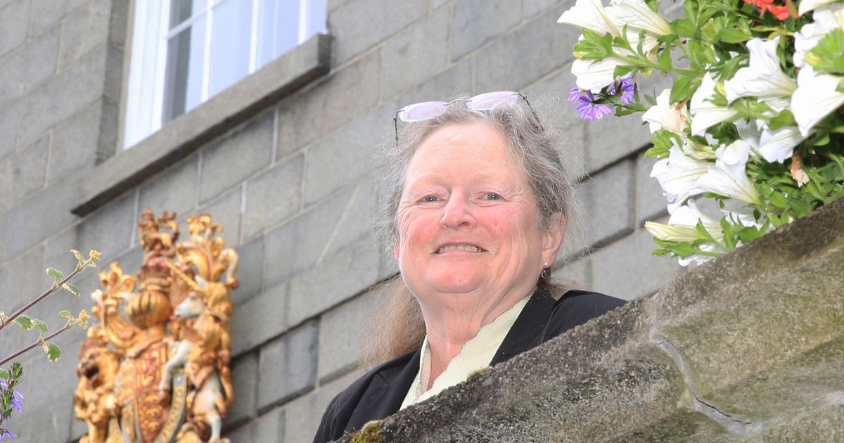 St Peter Port douzaine faces legal challenge to its remede