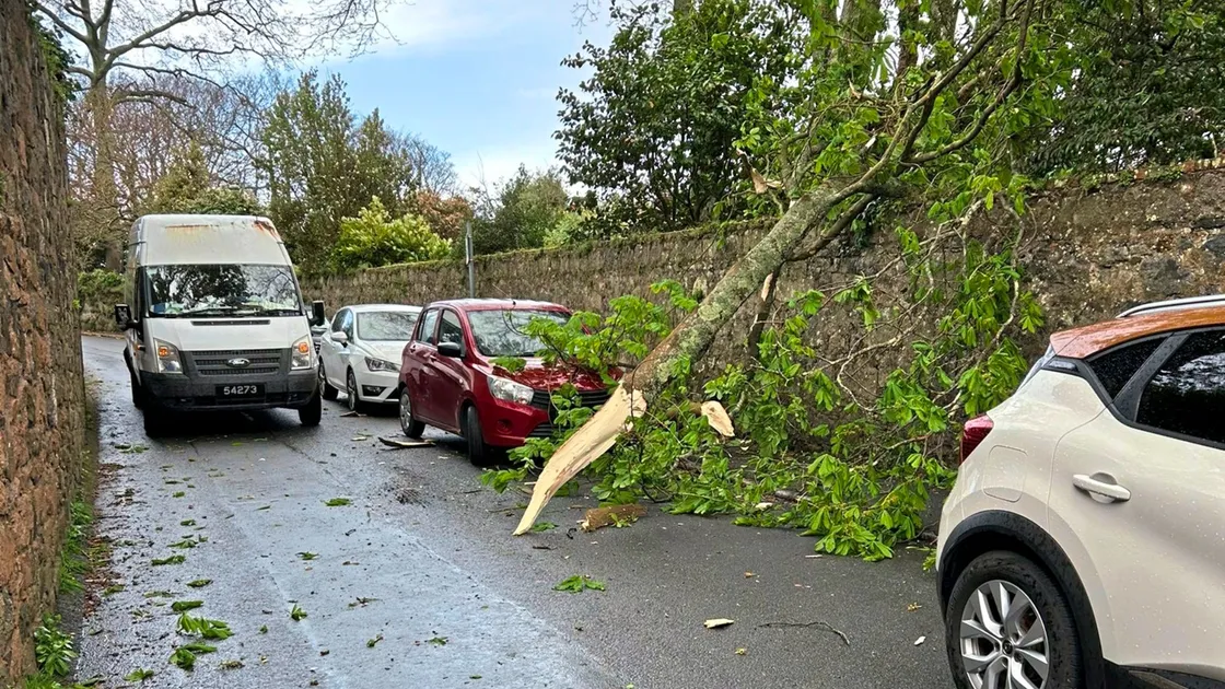 Tree branch smashes into car windscreen during gale force winds