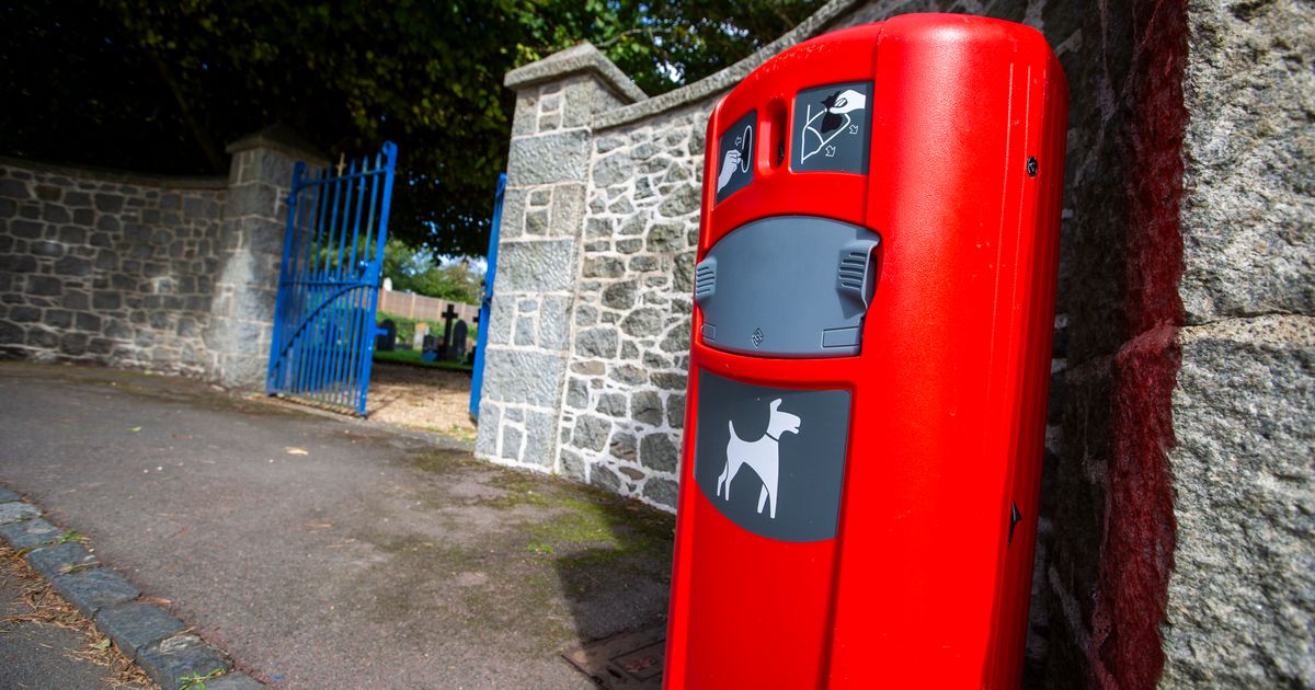 Fresh calls for dog DNA database after sheep death