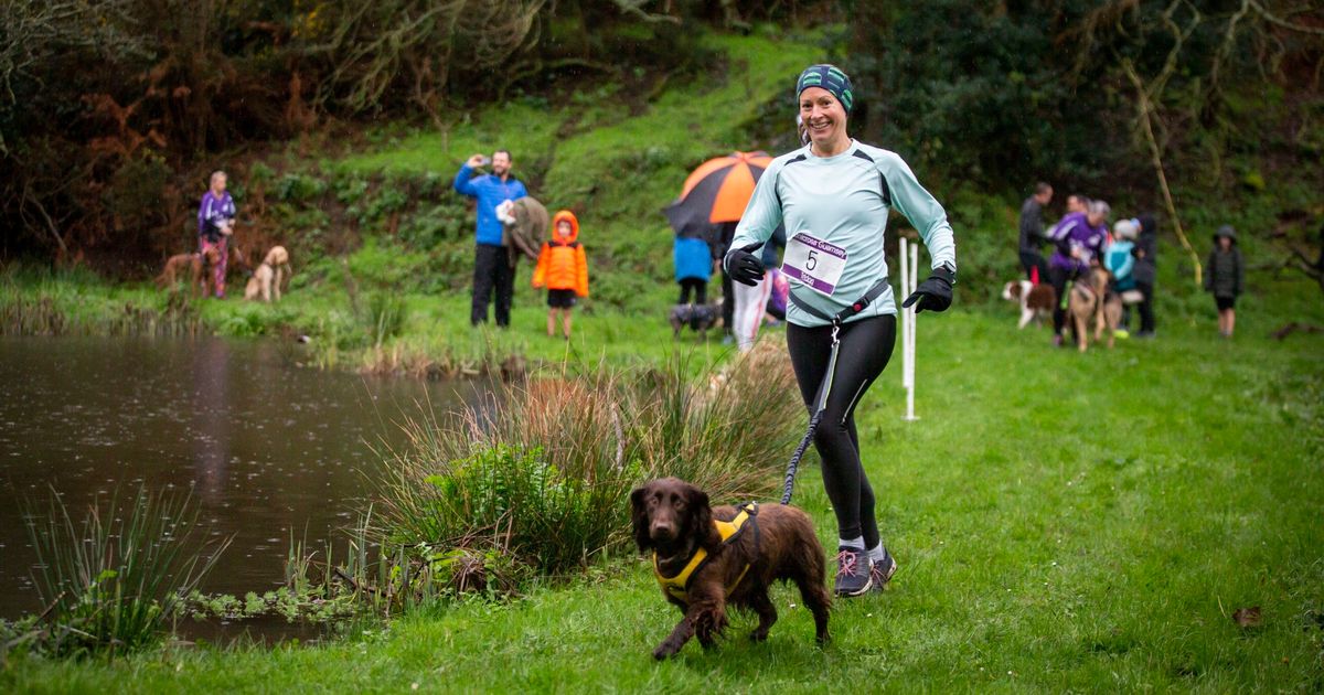 Six-legged race for dog lovers who like to run