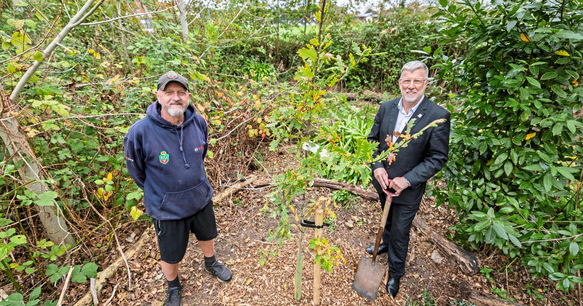 Oak planted at KGV as global challenge reaches Guernsey