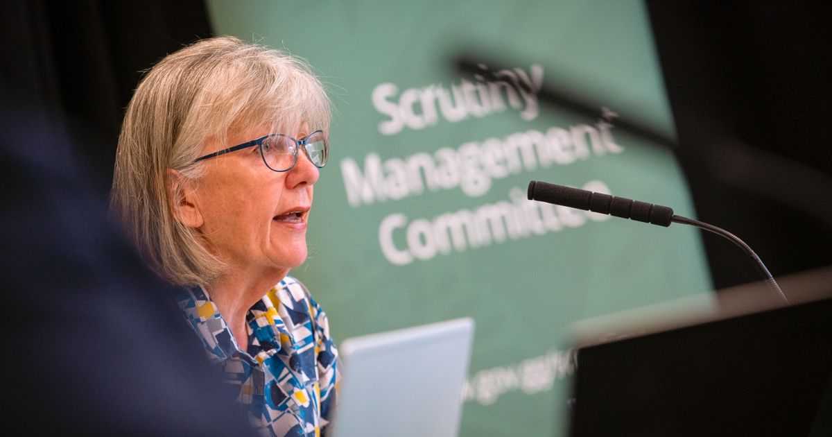 Work on IT contract ‘will show value of Scrutiny review’