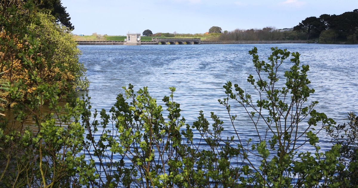 Guernsey Water looking to freeze rates in 2019