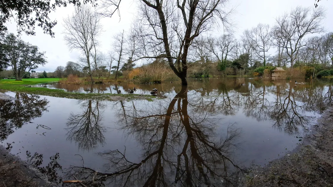 January was a month of two halves weather-wise