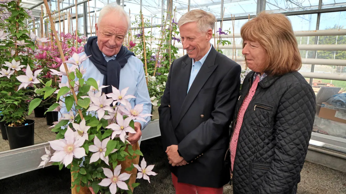 Lt-Governor sees bid for clematis gold