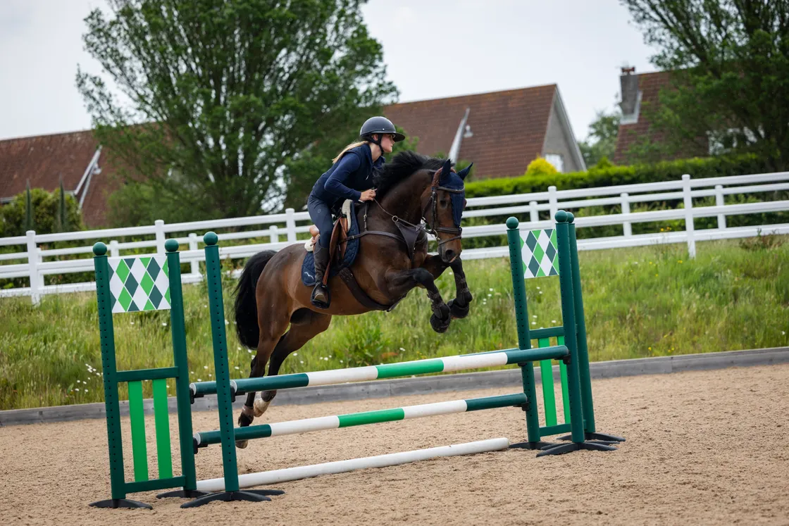 How Fort Road stables became site’s saving grace