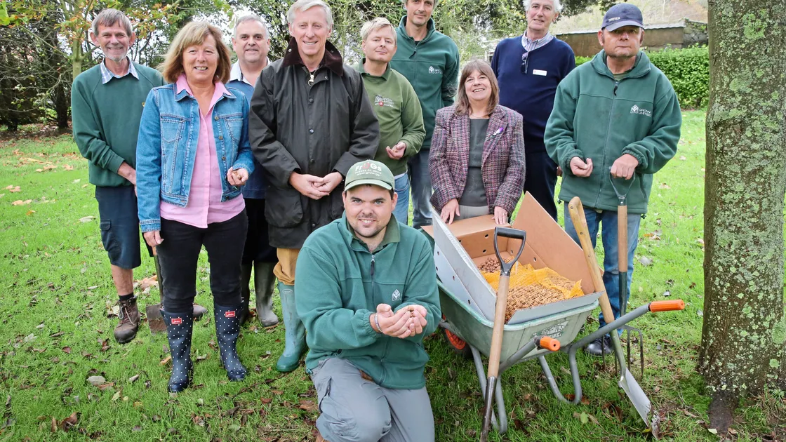 Purple crocus corms planted to mark World Polio Day