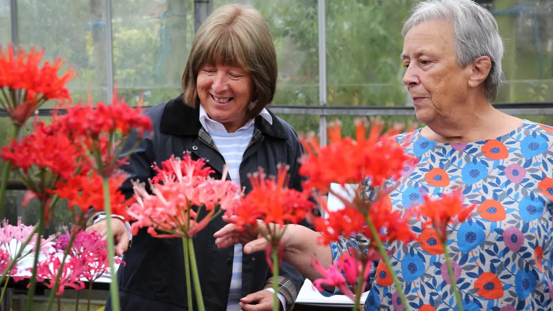 Lady Corder delighted to have nerine named after her