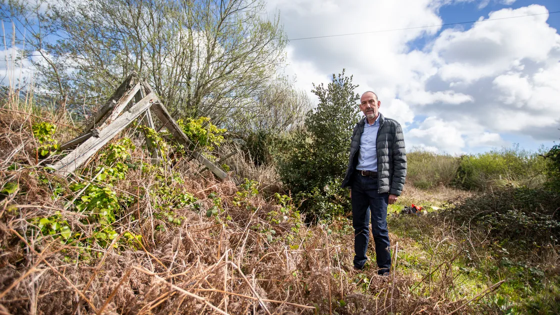 ‘Derelict glasshouse sites ripe for housing’
