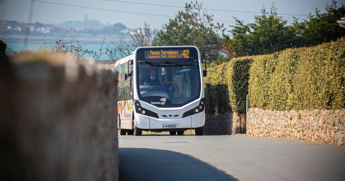 Driver shortages causing more bus service disruption