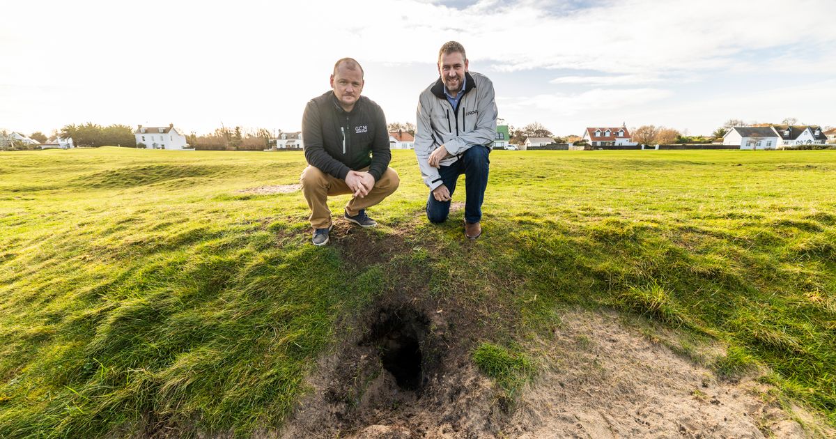 Golf course management defend controls on rabbits