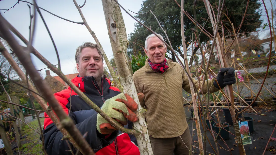 Give the living gift of a tree is group’s call