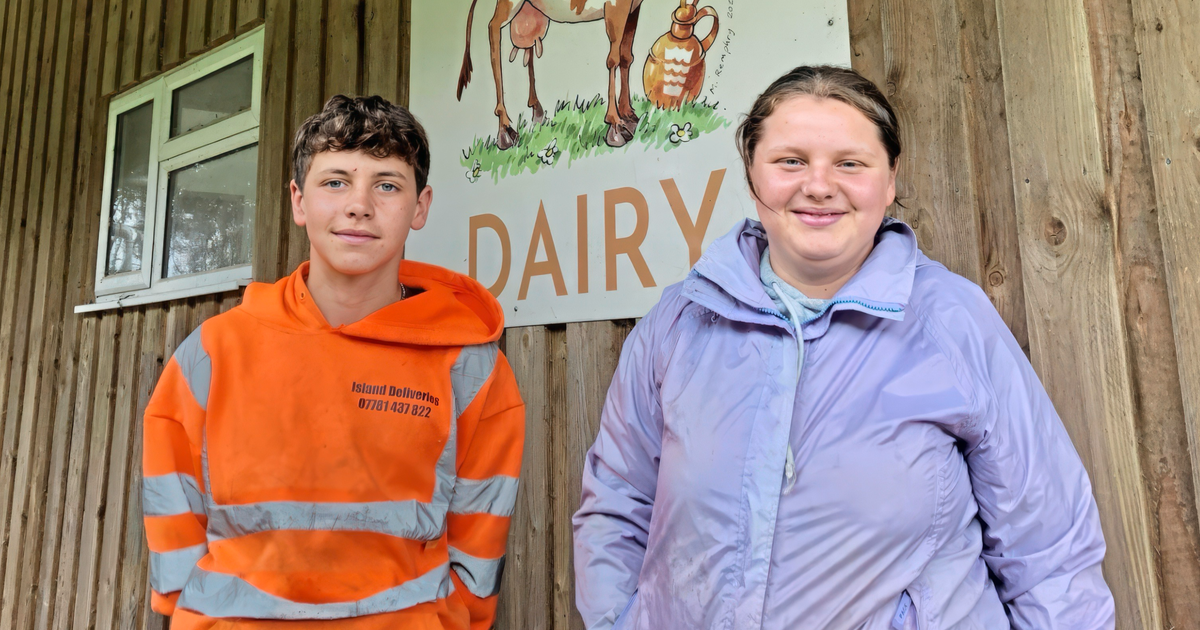 Sark siblings’ cow appeal raises £4,000 in one day
