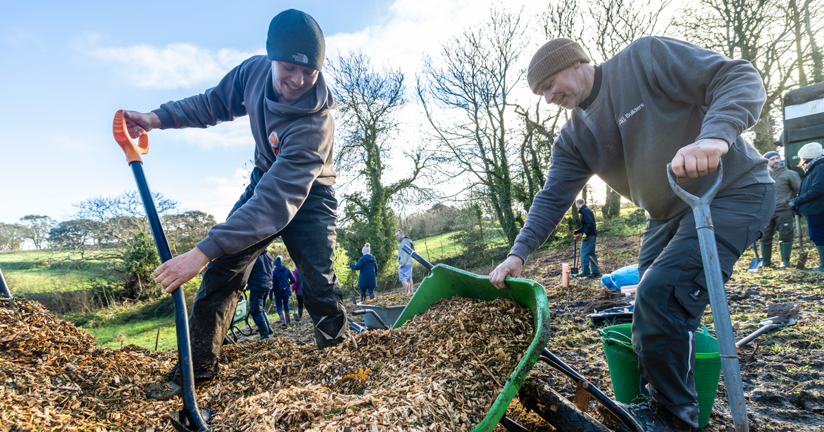 Trees for Life busy replanting after the storm