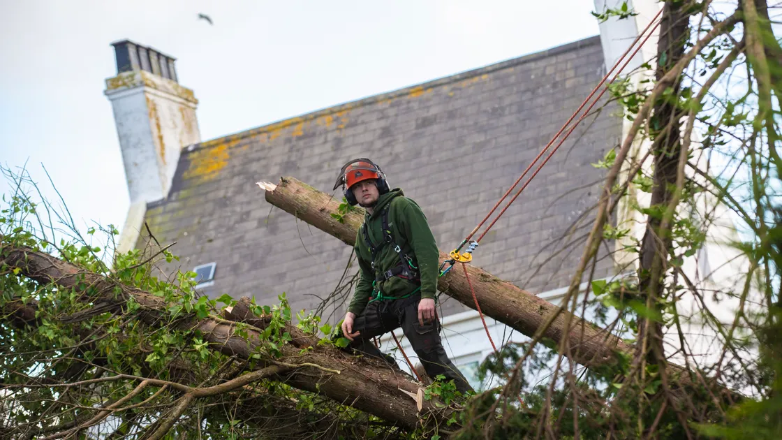 Trees down and sailings cancelled as storm hits
