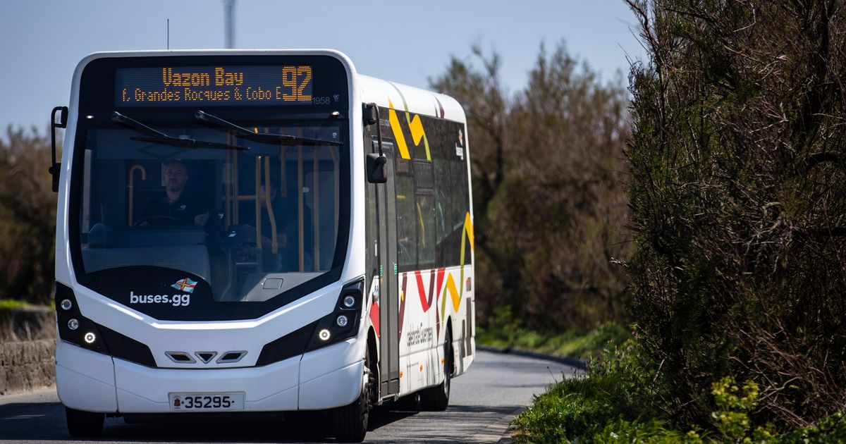 CT Plus reinstates more than a dozen bus services