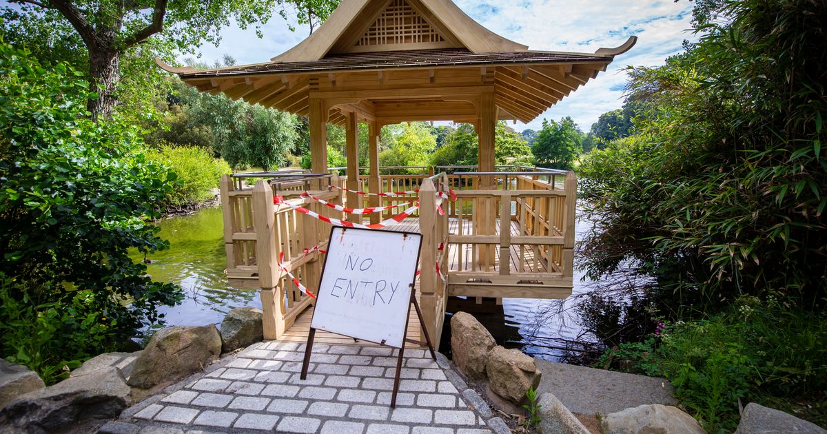 Saumarez Park pavilion damaged by fire