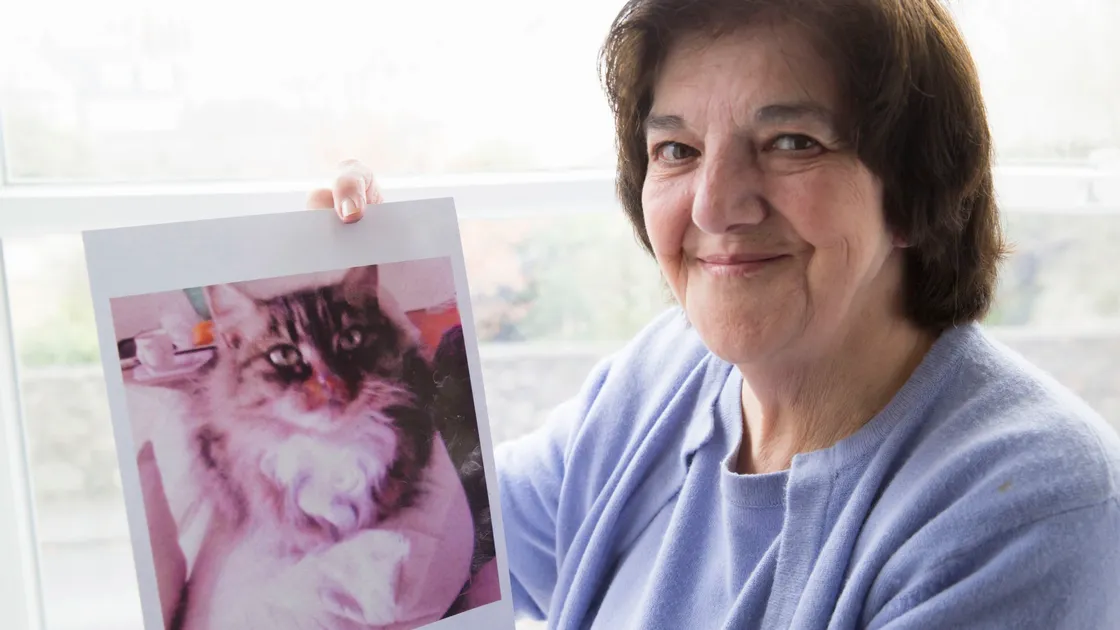 Missing cat Lucy and owner reunited after four months