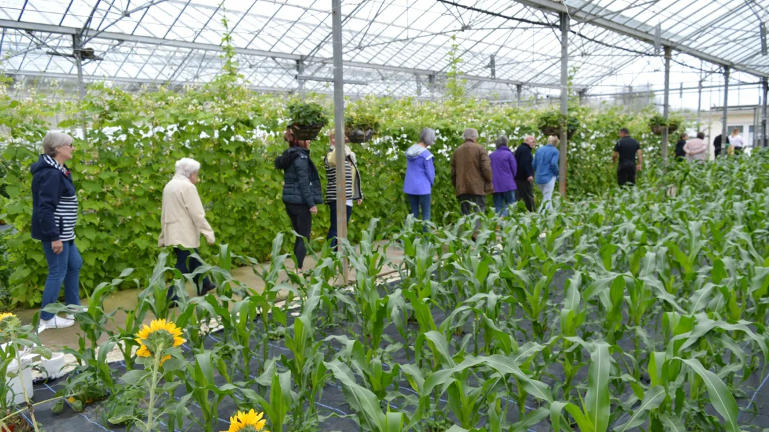 Prison eager to show its gardens to visitors