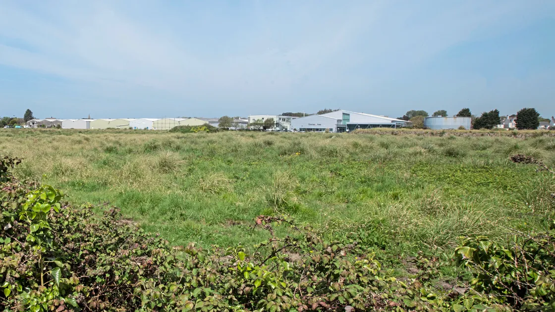 ‘Strong interest’ in data park site