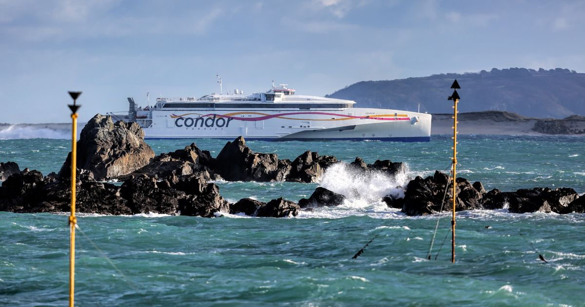 Condor to be sold ‘in next two years’