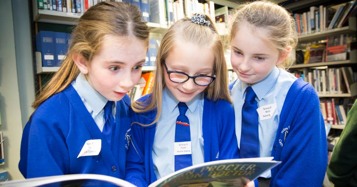 Pupils vote for their favourite non-fiction books