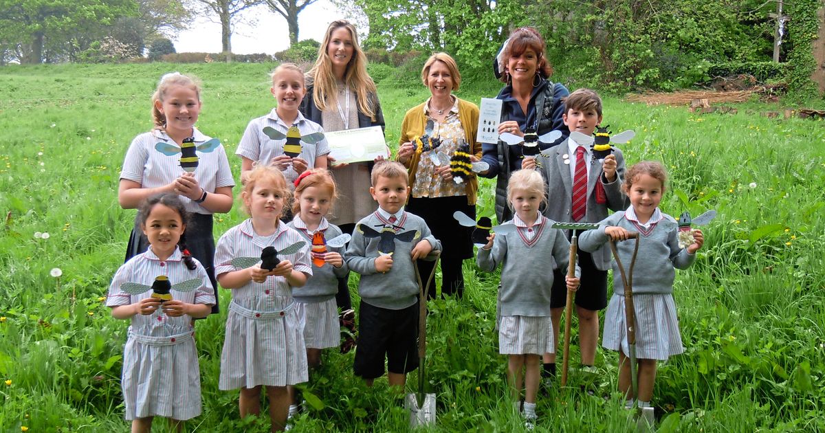 Pupils abuzz about bees