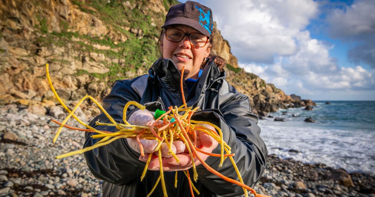 Large quantity of shock tube washed up