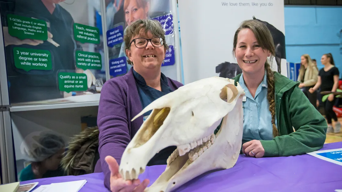 From horse’s skull to giant Monopoly game at EY careers show